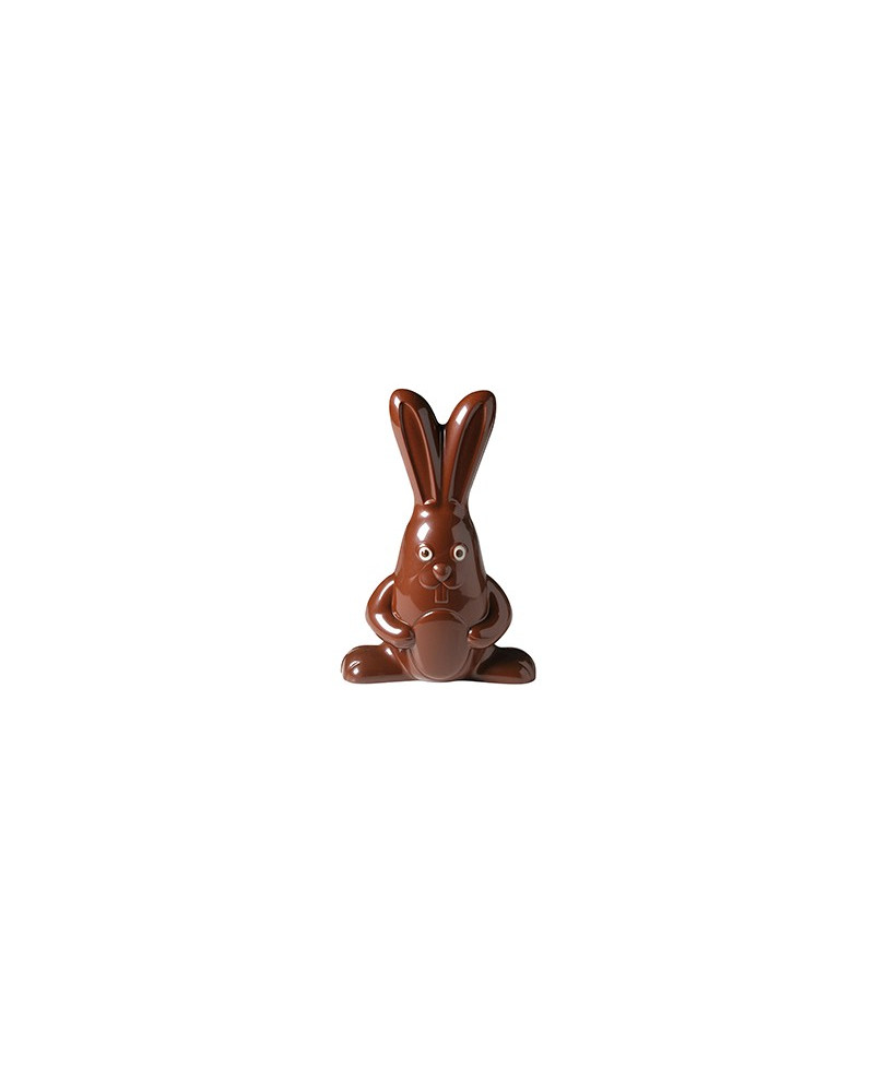Grand lapin moule pour chocolat Barry