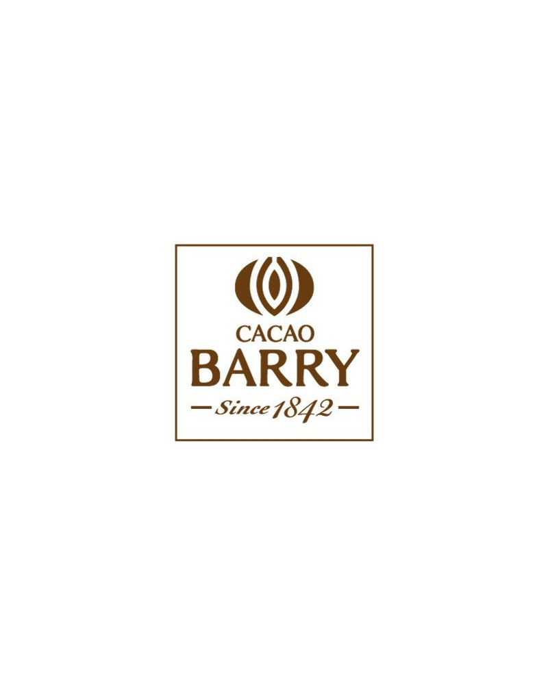 Pailletés fins chocolat Barry 1kg